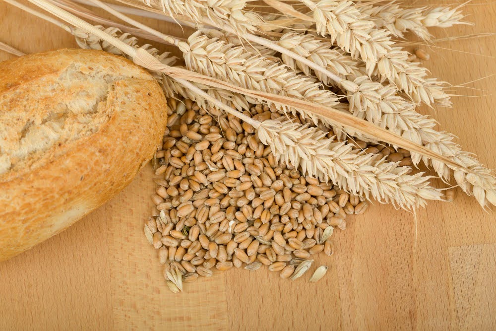 Rye vs Wheat: Difference and Meaning - Oats My Goodness